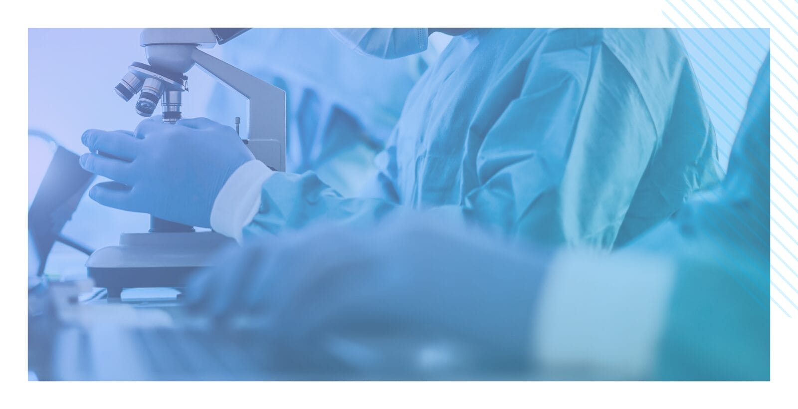 Life Science Long Tail Keyword Guide to Driving Conversions - MESH Interactive Agency